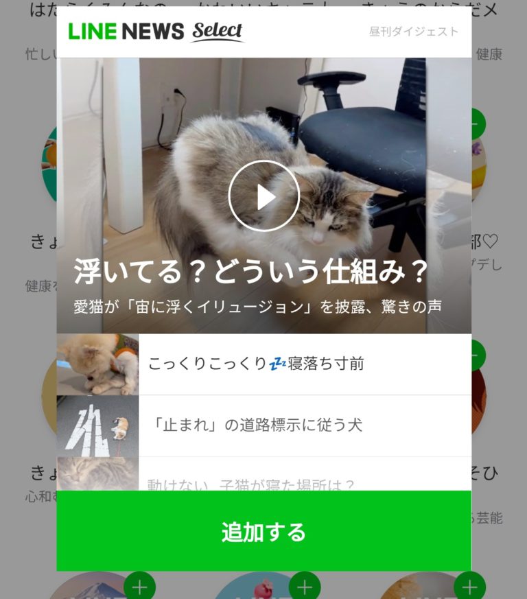 [限定無料スタンプ] うさちゃん × LINE NEWS スタンプのダウンロード方法：徹底解説